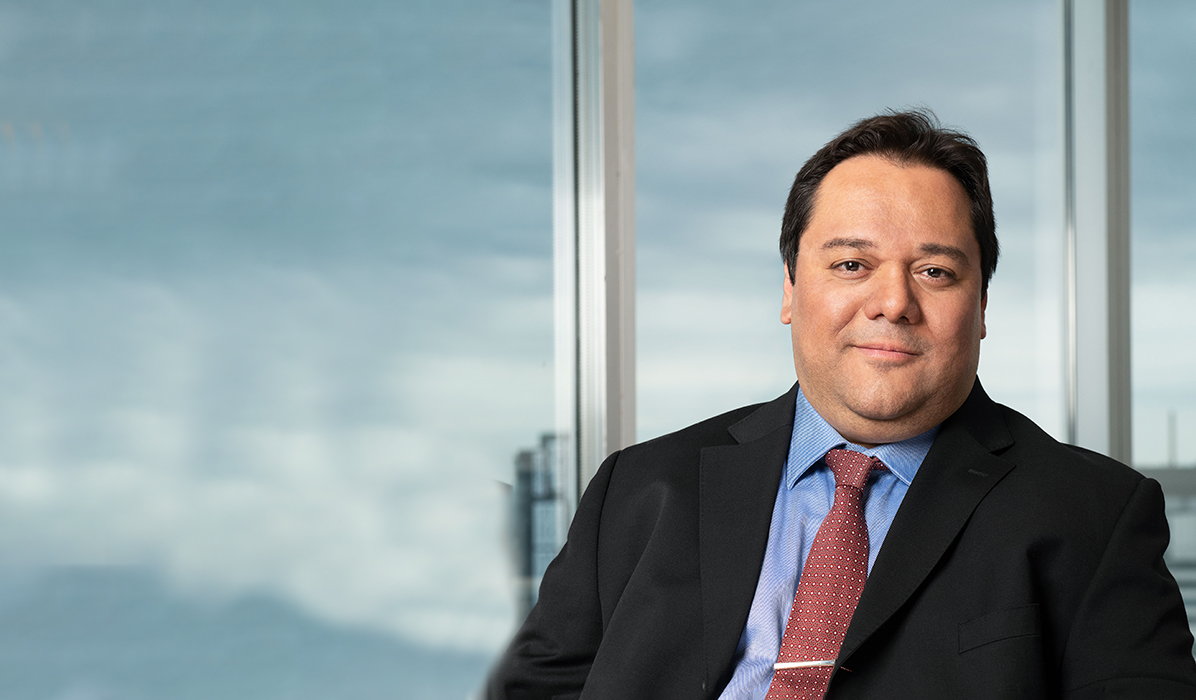 Professional LLM in Privacy and Cybersecurity Law - OsgoodePD