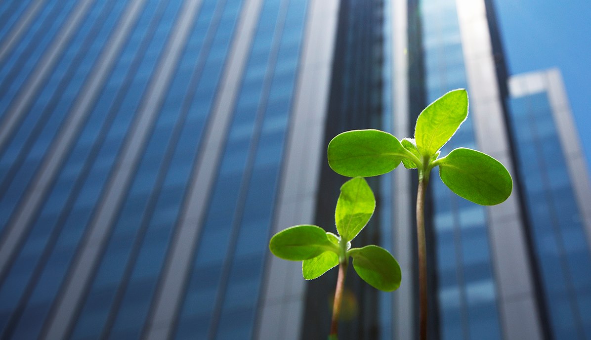 ESG, Sustainability, Climate Risk and the Law - OsgoodePD