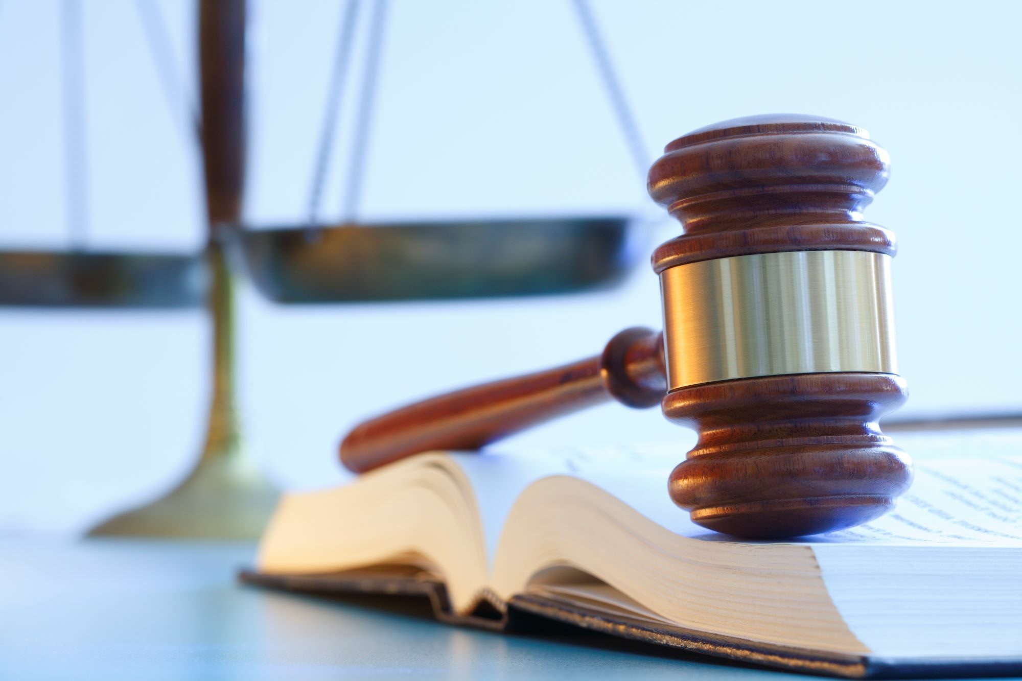 Charter Essentials for Investigators: Practical Guidance in Detention ...